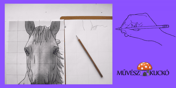 Ló rajz – ami mindenkinek sikerül - Szárnyaló KÉPességek