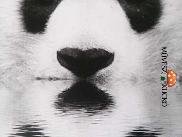 Panda rajz - négy egyszerű lépésben - Szárnyaló KÉPességek